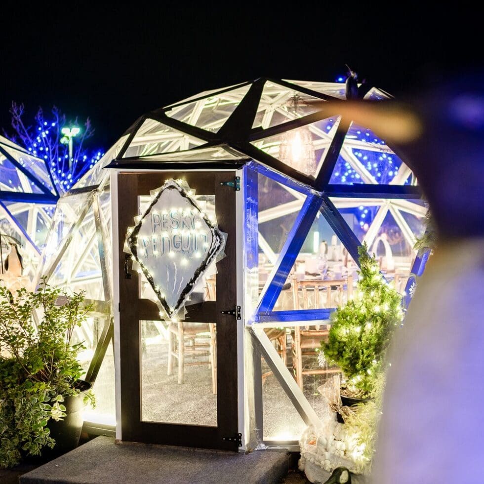 the midnight oil group - Digital Marketing and Design Agency